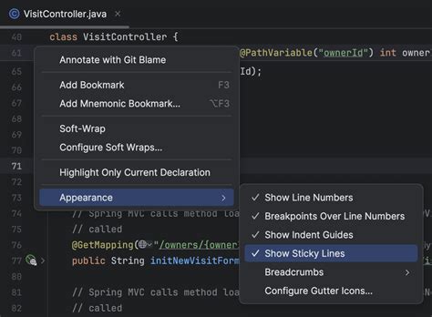 sticky lines intellij idea documentation