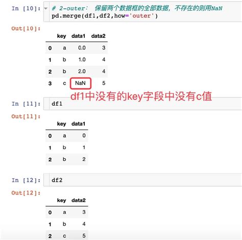 pandas使用手册 lumns tolist csdn博客