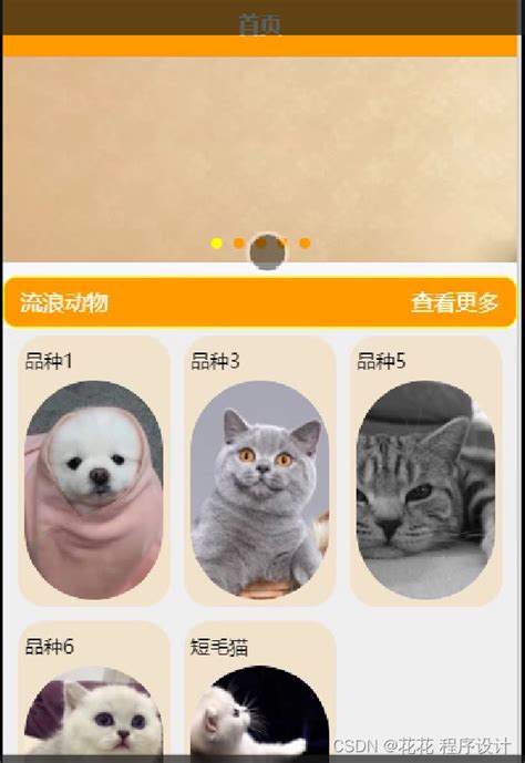ssm php node python流浪猫救助系统 csdn博客