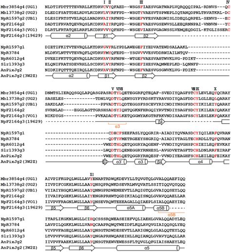 Multiple Protein Sequence Alignment And Secondary Structures Of