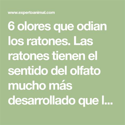A Green Background With The Words 6 Colors Que Odian Los Raiones Las