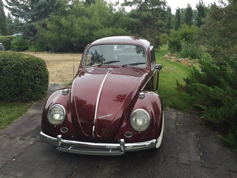 1966 Volkswagen Beetle For Sale ClassicCars CC 702842