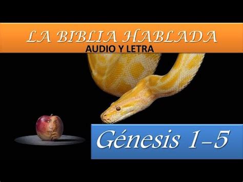 La Biblia En Audio Reina Valera Steppowen