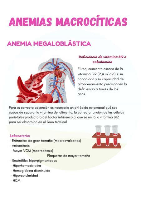 Anemias Macroc Ticas Maryuri Lisbeth Udocz