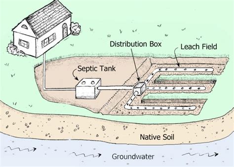 Septic Tank And Leach Field Diagram