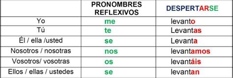 Pronombres Reflexivos Ejemplos Que Son Y Lo Que Debes Saber Porn Sex