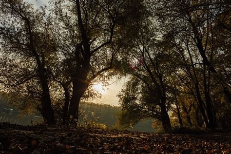 Image Libre Taches Solaires Rayons De Soleil Ensoleillement Saison