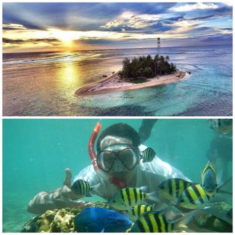 Serunya Snorkeling Di Pulau Tikus Menjelajahi Keindahan Bawah Laut