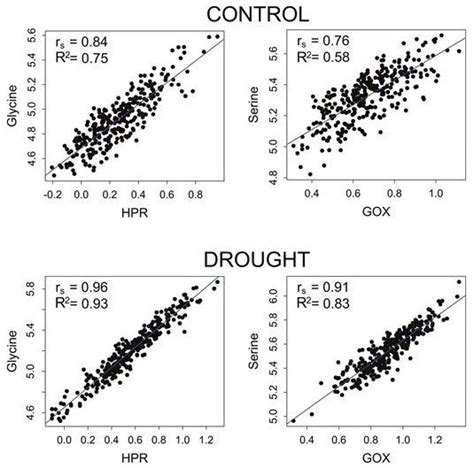 spearman s rank correlation test bojovicstatistics