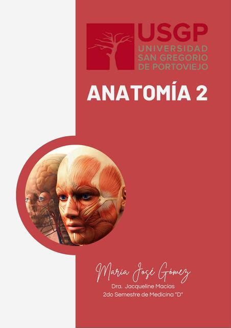 Anatomía 2 Disección coronaria espontánea MARÍA JOSÉ GÓMEZ ALVARADO