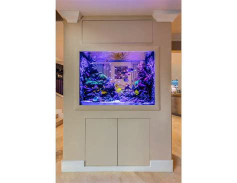 180 Gallon Custom Room Divider Reef Aquarium REEF AQUARIA DESIGN