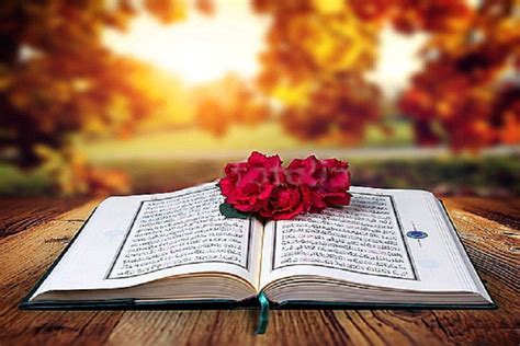 Tajwid Surat Al Kafirun Ayat Lengkap Dengan Penjelasan Dan Cara