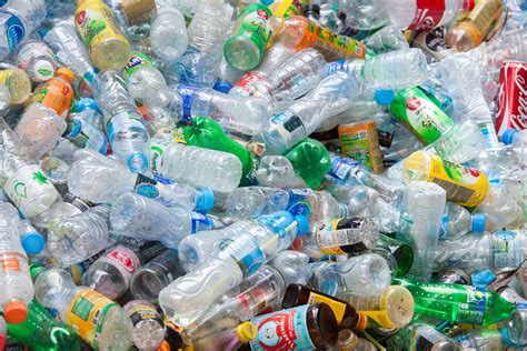 Día del Medio Ambiente reciclado de plásticos Diario Río Negro