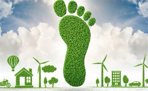 5 Formas De Reducir Tu Huella De Carbono En El Hogar Msuc