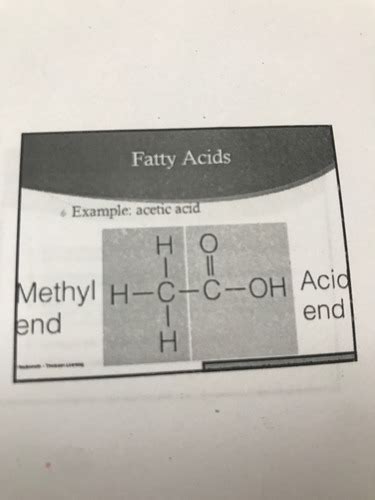 Chapter 6 Lipids Flashcards Quizlet