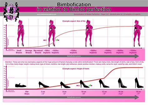 Bimbo Training Basic Bimbo Rules What Is Bimbofication Shaping Femininity” Pink Bimbo