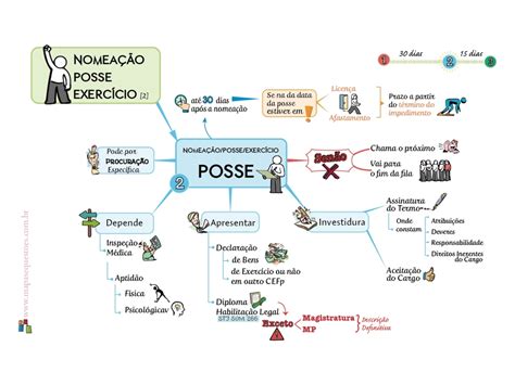 Mapa Mental Lei Nomeacao Posse Exercicio Direito