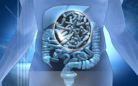 Salud intestinal la clave de la salud general Córdoba Nutrición