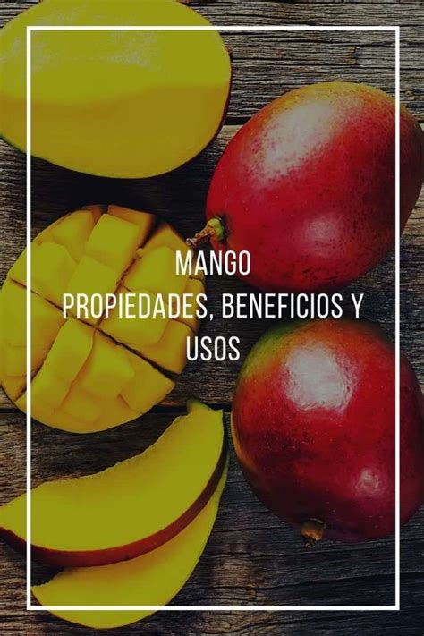 Propiedades Beneficios Y Uso Del Mango
