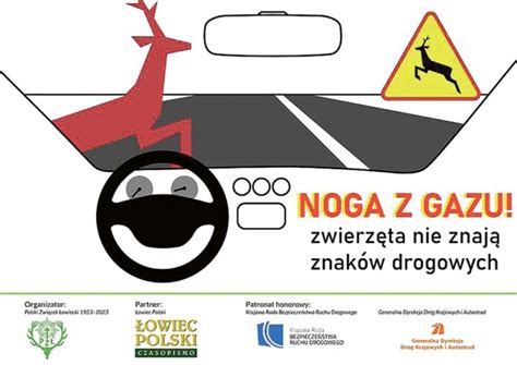 Apel Noga z gazu jedź ostrożnie Nowy Tydzień