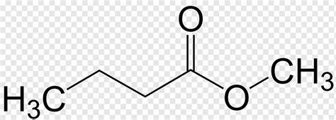 Wei Er Kreis Crotonylcoa Methylbutyrat Coenzym A Butters Ure