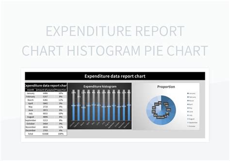 Expenditure Report Chart Histogram Pie Chart Excel Template And Google