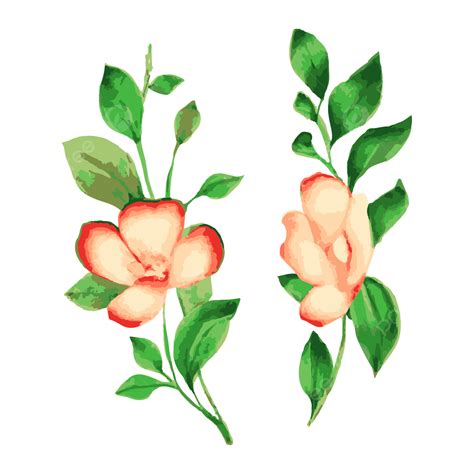 Acuarela Con Concepto De Flores Rosas Vector PNG Acuarela Planta