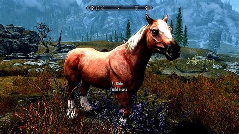 The Elder Scrolls V Skyrim Anniversary Upgrade Nintendo Switch OLED
