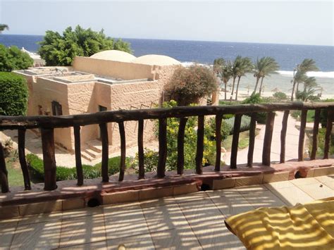Strandnähe Pickalbatros Portofino Vita Resort Marsa Alam