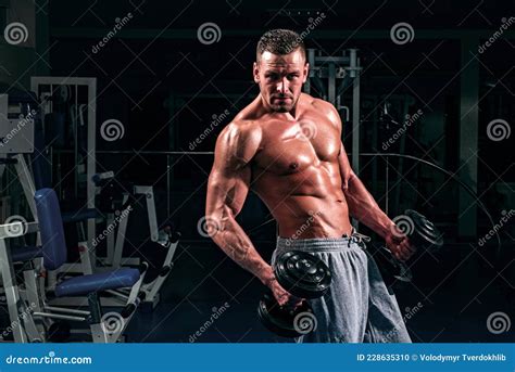 Dumbbells Exercises Sporty Lifestyle Male Torso With Six Packs