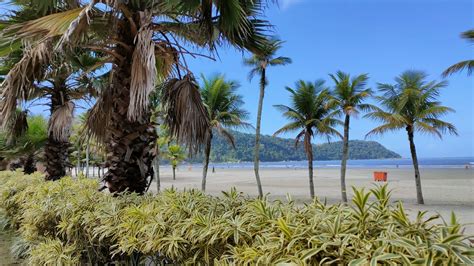Câmeras ao Vivo Praia Grande Canto do Forte tempo de sol YouTube