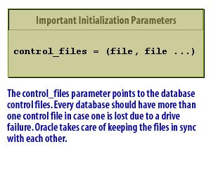 Oracle Initialization File Types Of Info