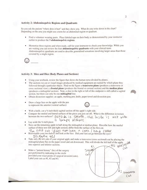 Activity Abdominopelvic Regions And Quadrants Chem B A Bc Studocu