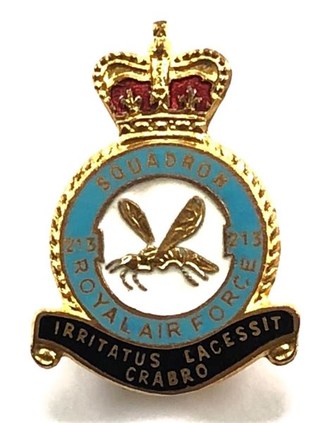 Sally Bosleys Badge Shop RAF No 213 Battle Of Britain Squadron Royal