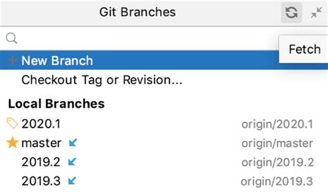 Manage Git Branches Jetbrains Rider
