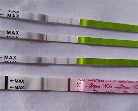 Hcg Im Urin Trotzdem Noch Eisprung Forum Ovulations Und