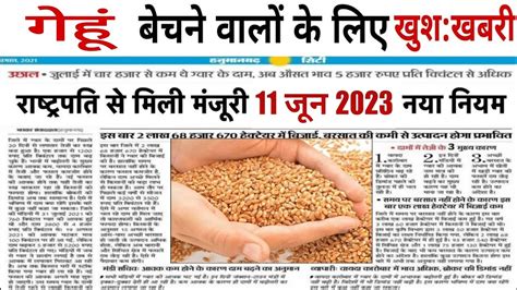 19 June 2023 गह क भव gehu ka bhav aaj ka gehu bhav kab badhega