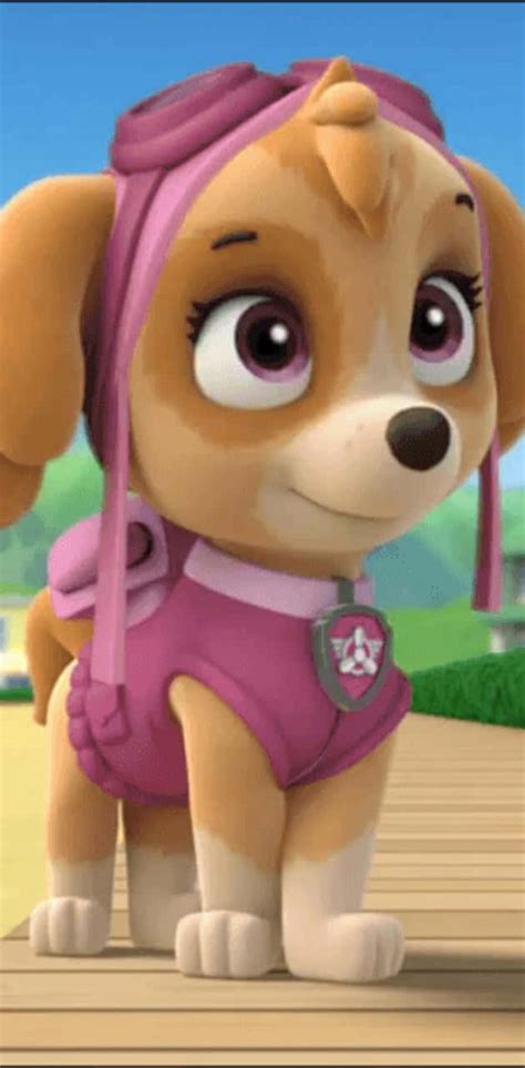 100 Skye Paw Patrol Wallpapers Wallpapers