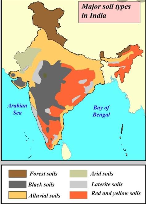 Major Soil Types India Outline Map