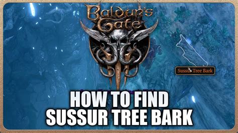 Baldur S Gate 3 How To Find Sussur Tree Bark In Underdark Easy Route