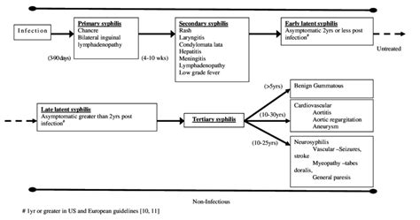 Syphilis Stages Diagram