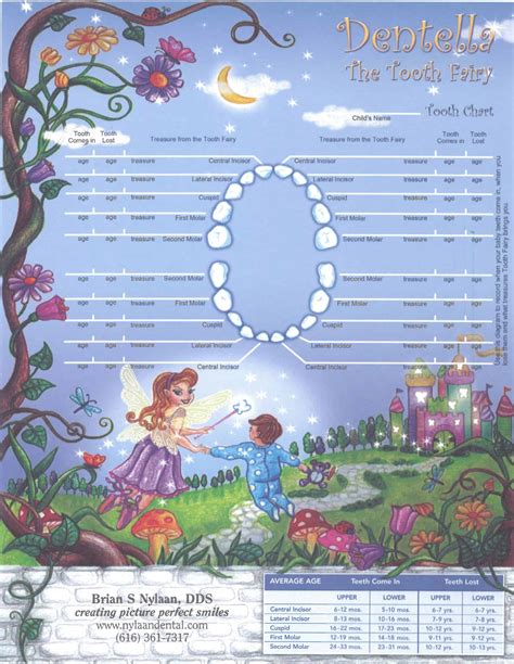 Free Printable Tooth Chart Templates Dental Chart Teeth Numbers PDF