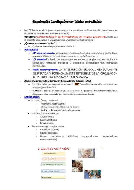 Rcp B Sica En Ni Os Ayde Moreno Udocz