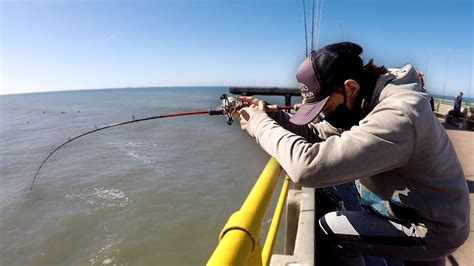 Uma PESCARIA Das Boas Na PLATAFORMA DE PESCA YouTube