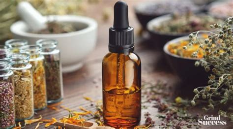 140 Trendy Essential Oil Slogans Taglines Ideas 2025