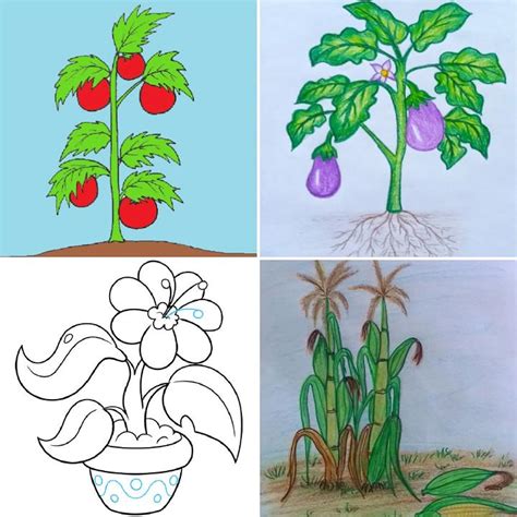 30 Easy Plant Drawing Ideas How To Draw A Plant