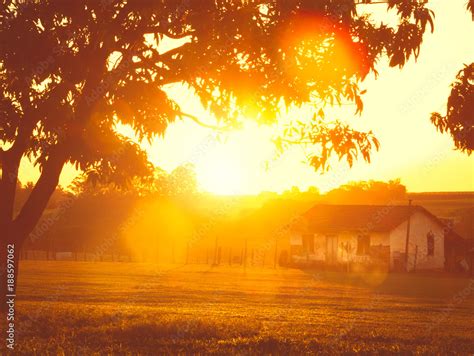 Foto De Sol Nascendo Na Fazenda Do Stock Adobe Stock