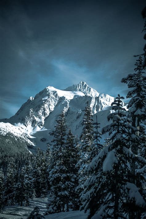 Winter Nature Trees Mountains Forest Snow Covered Snowbound HD