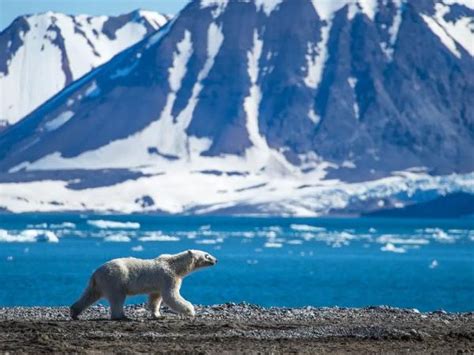 Norway To Iceland Sailing Holiday Responsible Travel