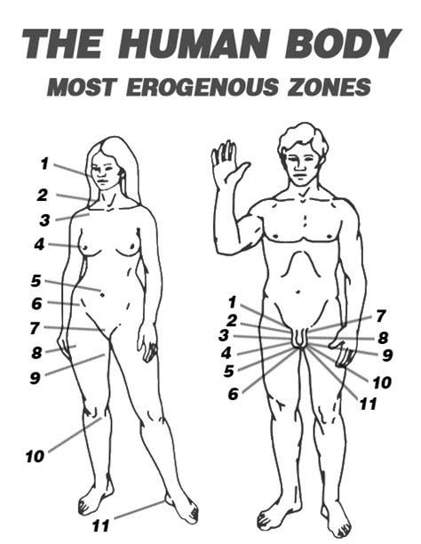 Sober In A Nightclub Human Erogenous Zones